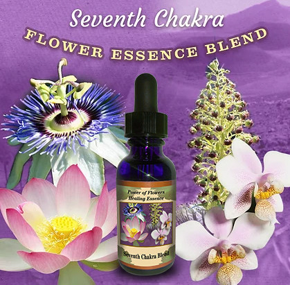 Seventh Chakra Flower Essence Blend | Power of Flowers