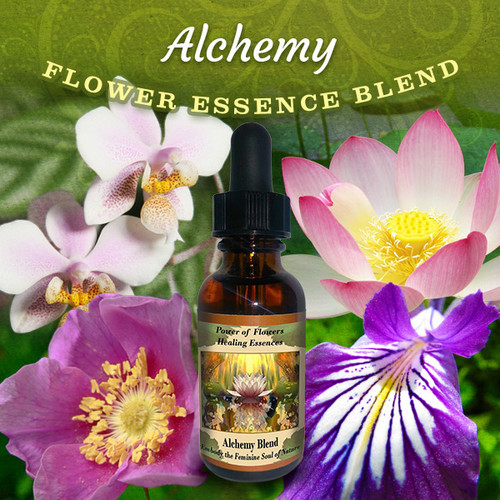Alchemy Flower Essence Blend | Power of Flowers