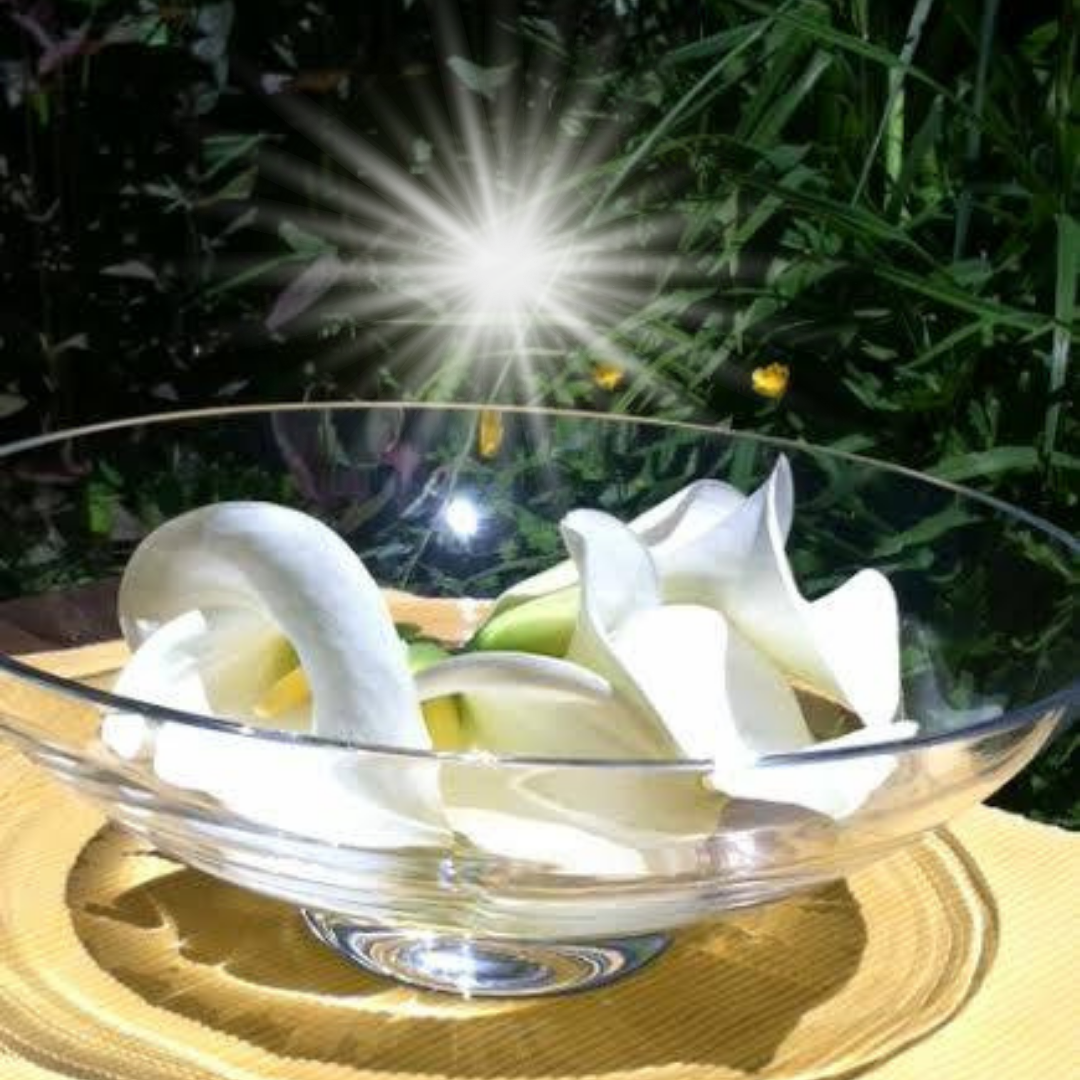 Epi-Genetics and Flower Essences (Part 2)