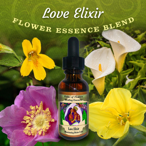 Love Elixir Flower Essence Blend | Power of Flowers