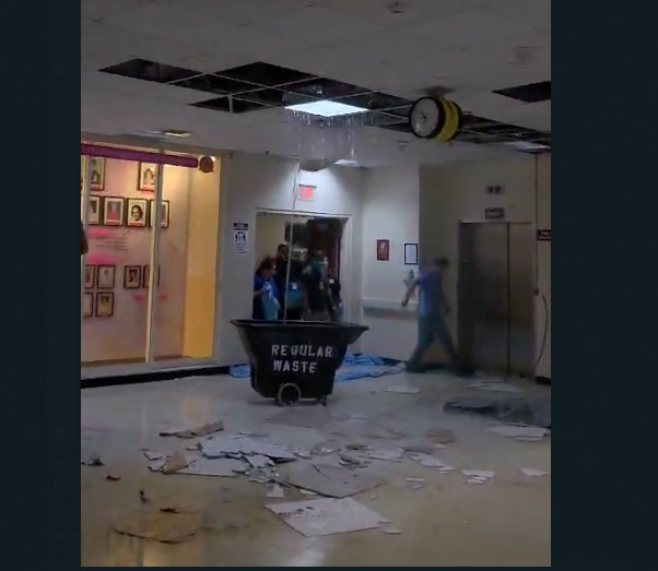 Academia | Guam Human Rights Initiative