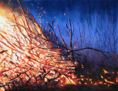 Bonfire | Art Gallery