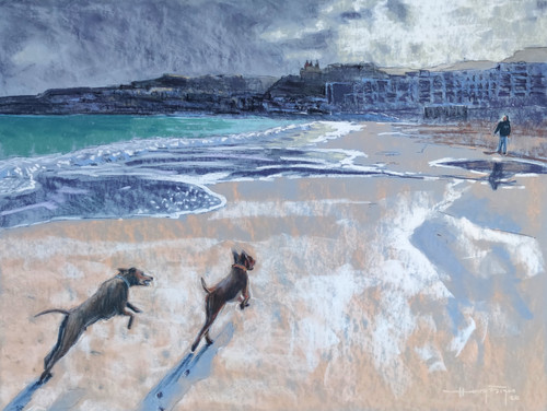 Salt Dogs | Art Gallery