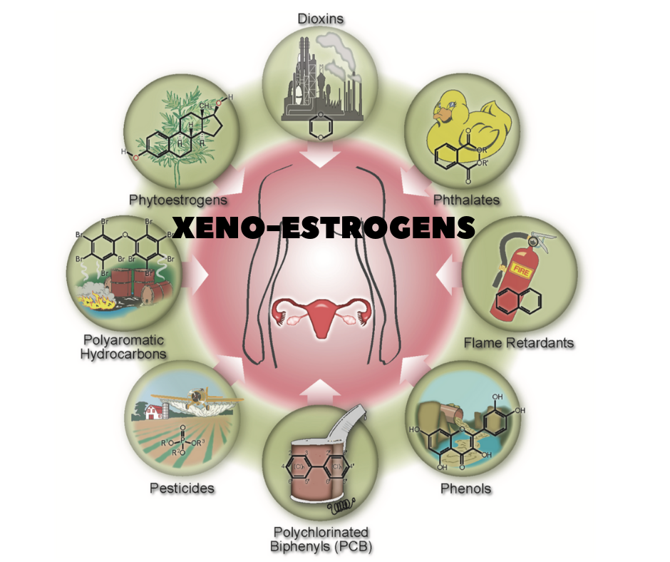 XENO-ESTROGENS
