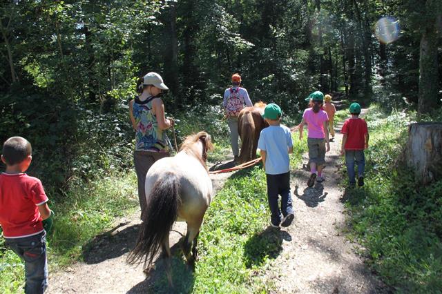 Cabot'ins.ch - Balades avec les Poneys