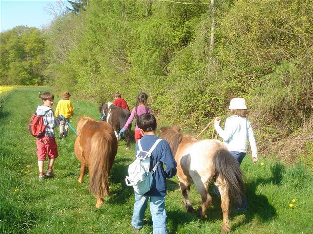 Cabot'ins.ch - Balades avec les Poneys