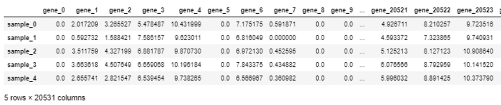 Data Analysis Assignment Help | Cancer RNA-Seq Analysis