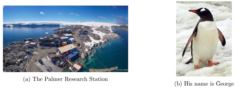 Exploratory Data Analysis In R Using Penguins Dataset | Sample Paper