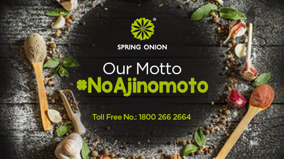 Spring Onion - Oriental Cuisine