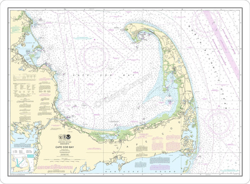 Nautical Chart 13246 'Cape Cod' Placemat | Pickering Company