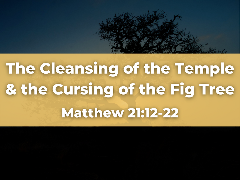 The Cleansing of the Temple and the Cursing of the Fig Tree (Matthew 21 ...