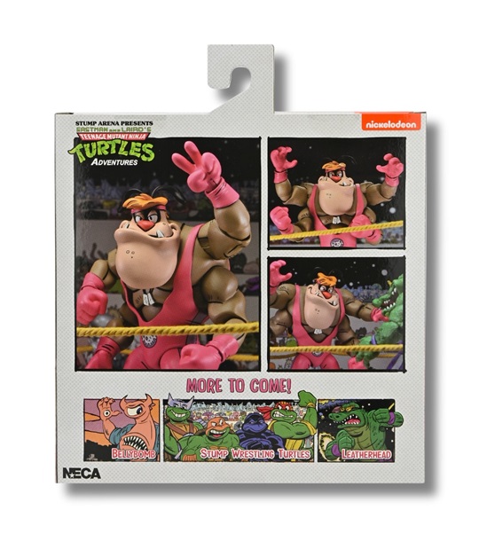 NECA Teenage Mutant Ninja Turtles Adventures by Archie Comics Stump ...