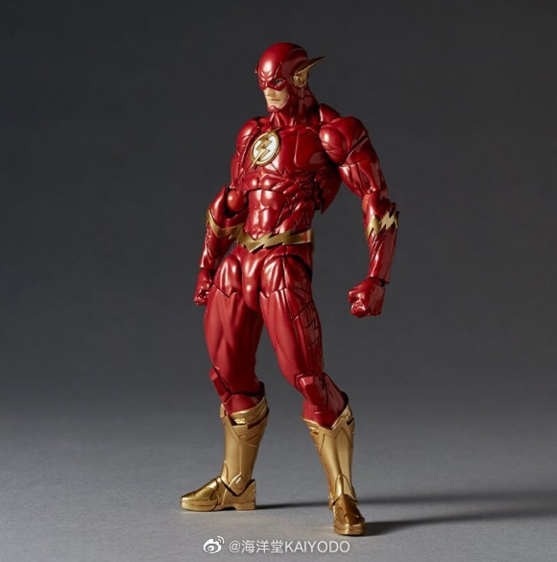 Kaiyodo DC Amazing Yamaguchi Revoltech Flash and Reverse Flash