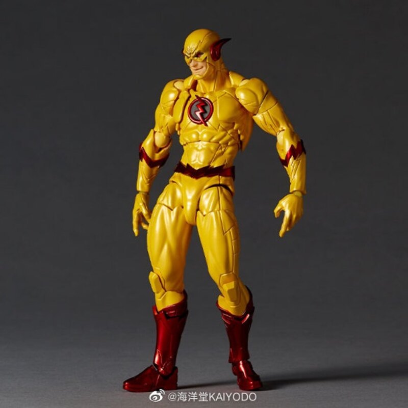 Kaiyodo DC Amazing Yamaguchi Revoltech Flash and Reverse Flash