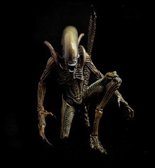 alien resurrection xenomorphs