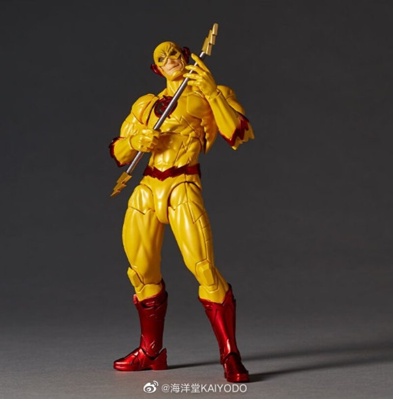 Kaiyodo DC Amazing Yamaguchi Revoltech Flash and Reverse Flash