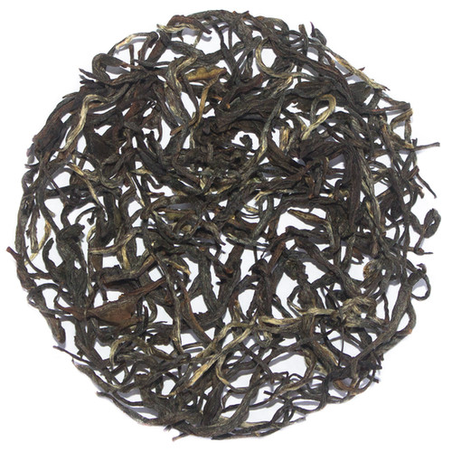 2023 Nilgiri Highland Gold | Ketlee