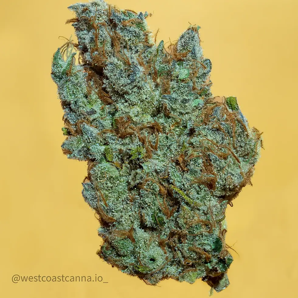 Banana Taffy By Team Elite Genetics - In Depth Strain Review ...