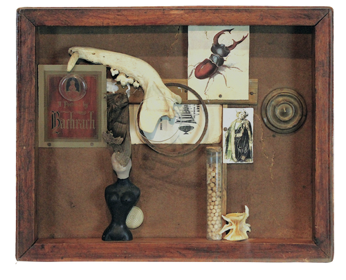 Collecting Evidence | art by bennett