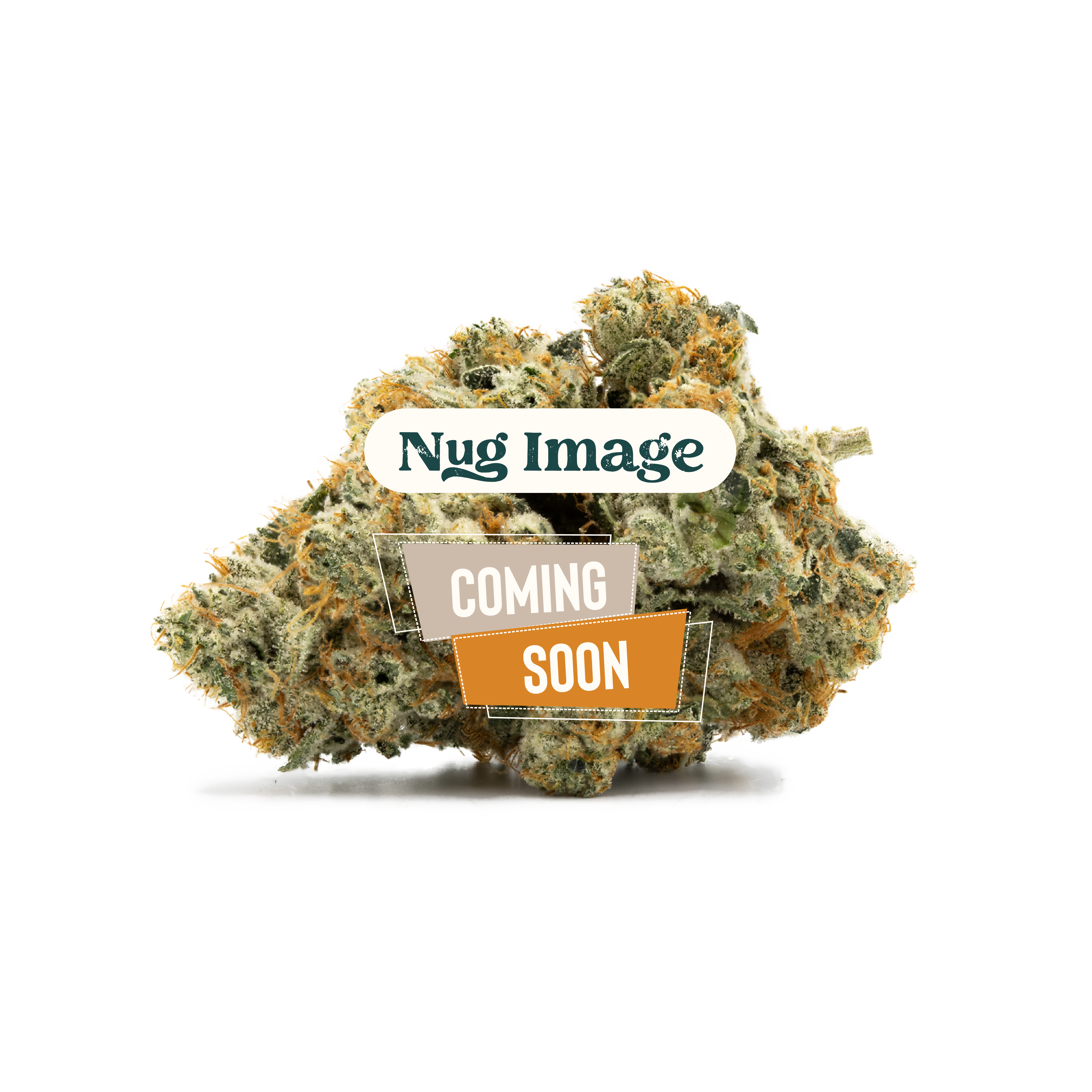 Strains | CAMP Cannabis