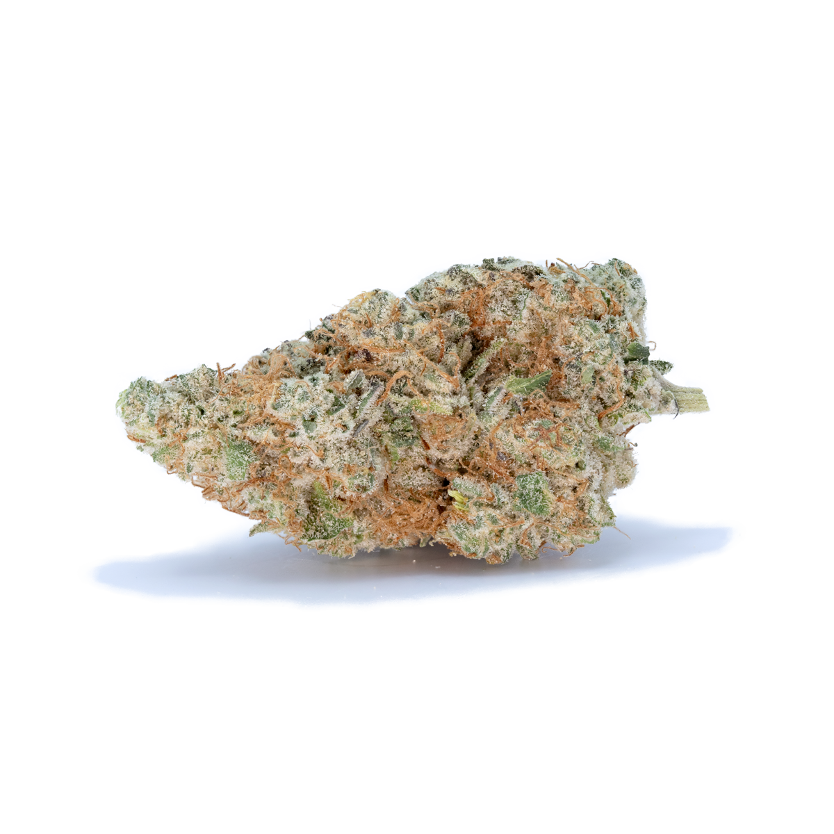 Strains | CAMP Cannabis