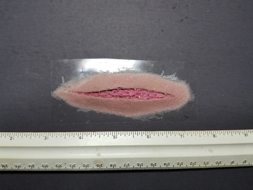 Prosthetic Transfer 018 - Medium Straight Cut | Shelly's Artspace