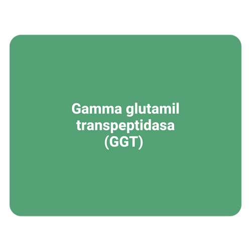 Gamma Glutamil Transpeptidasa | LabSE