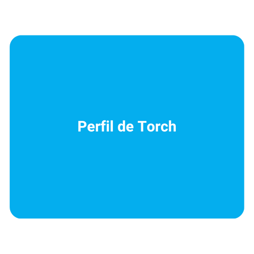 Paquete | Perfil de Torch | LabSE