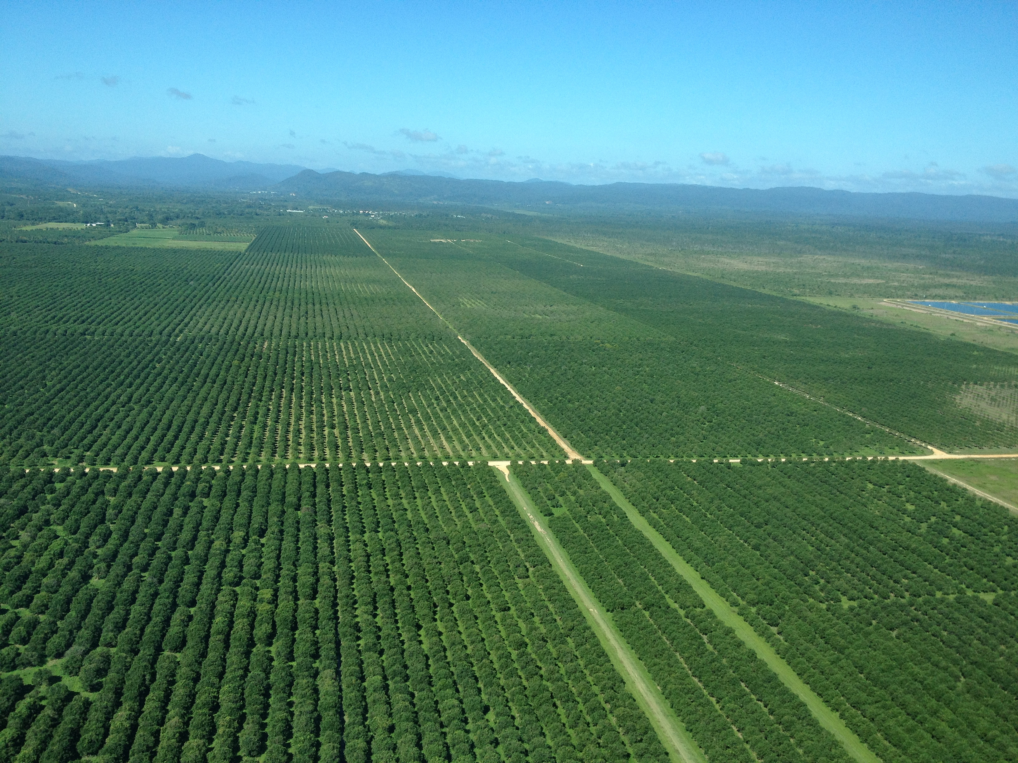 Coral Biogeochemistry Laboratory - David M. Baker | Agriculture ...