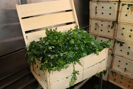 Corn Crates | Georgia Crate & Basket Co