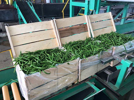 Corn Crates | Georgia Crate & Basket Co