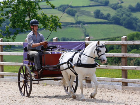 Gallery | Little Mill Equestrian Centre