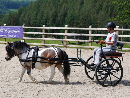 Gallery | Little Mill Equestrian Centre