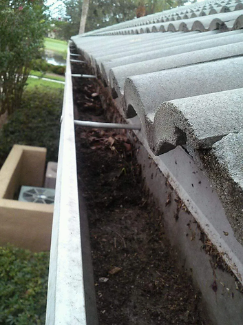 Gutter Cleaning Service Southwest Florida
