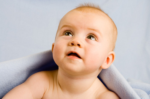 Baby Coach - First Year Bundle | bornhappy