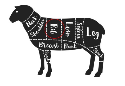 Ambassador - Lamb Rack Cap-On