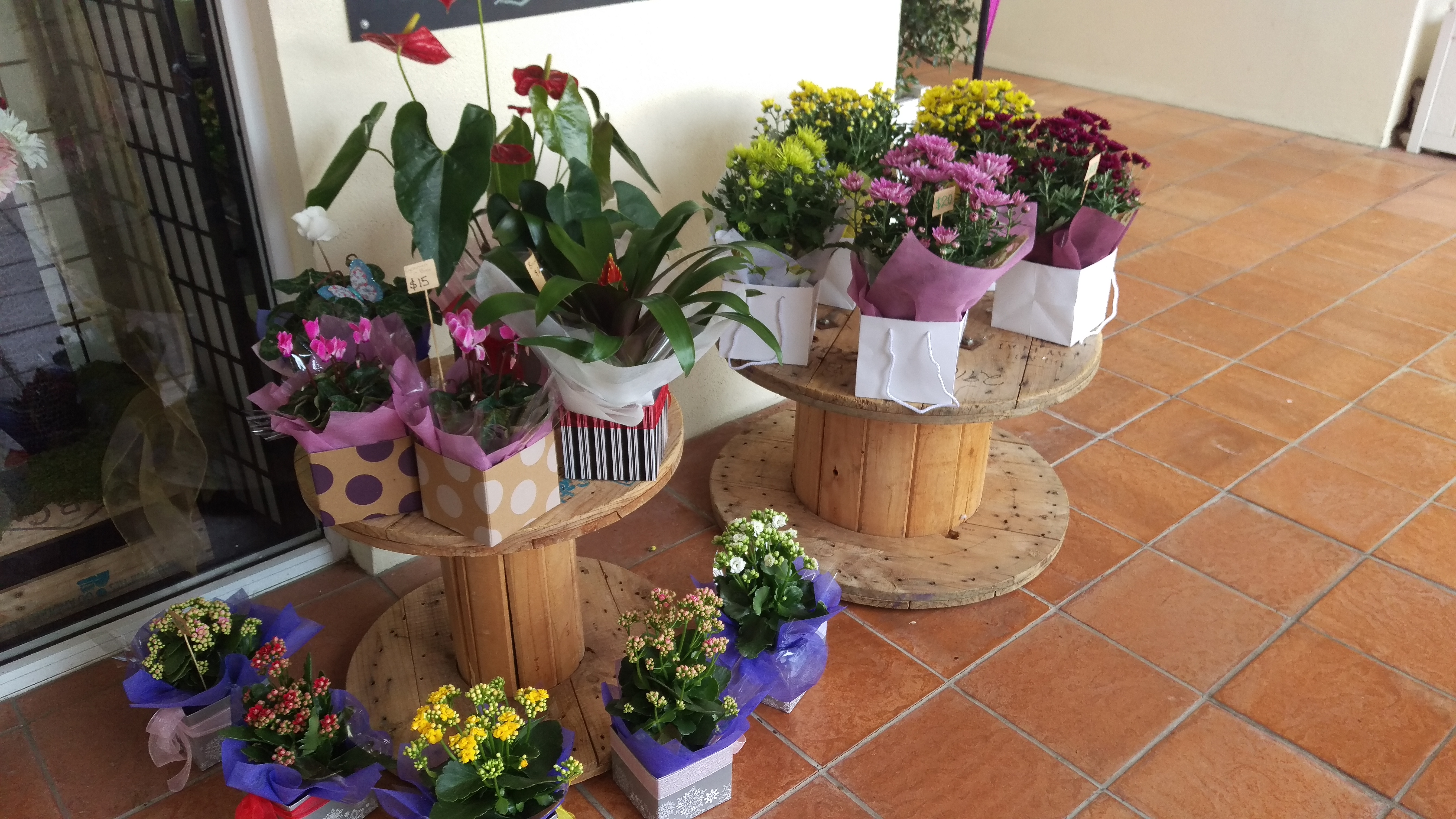 Gallery | Warkworth Florist | Briar Rose Flowers