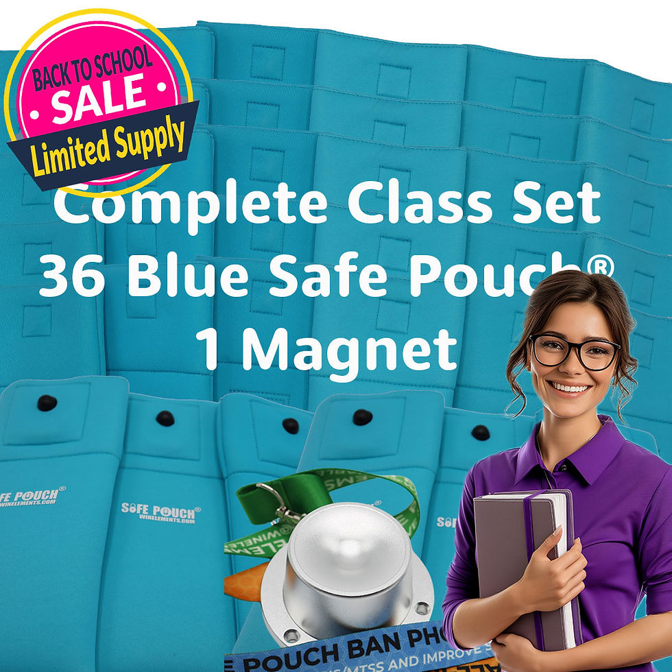 Safe Pouch | Win Elements