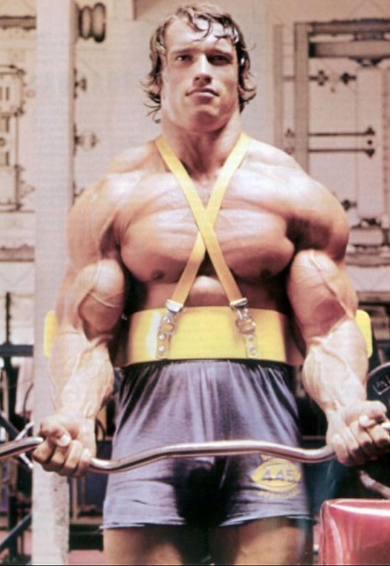 arms arnold style