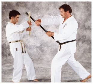 Bruce Perkins - Kudan (9th Dan) | shintani.ca