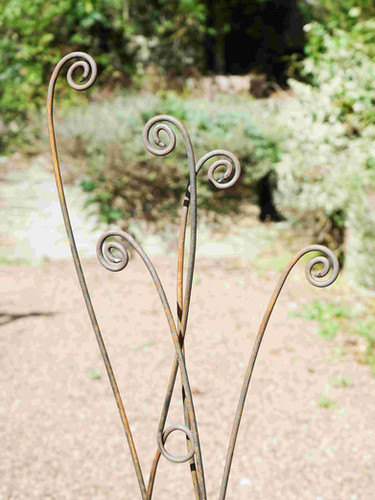 Rusty Metal Fern Stems garden sculptures | Ferric Garden