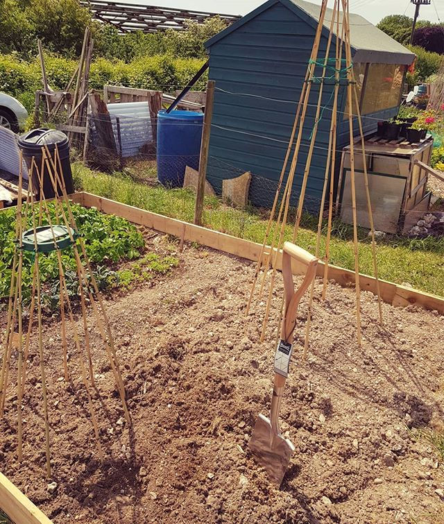 How I Plan My Allotment