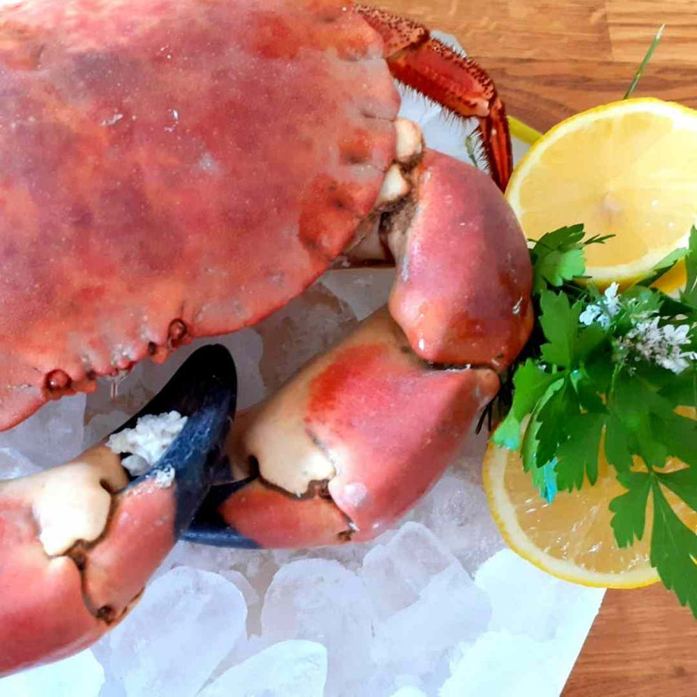 How to Pick A Crab