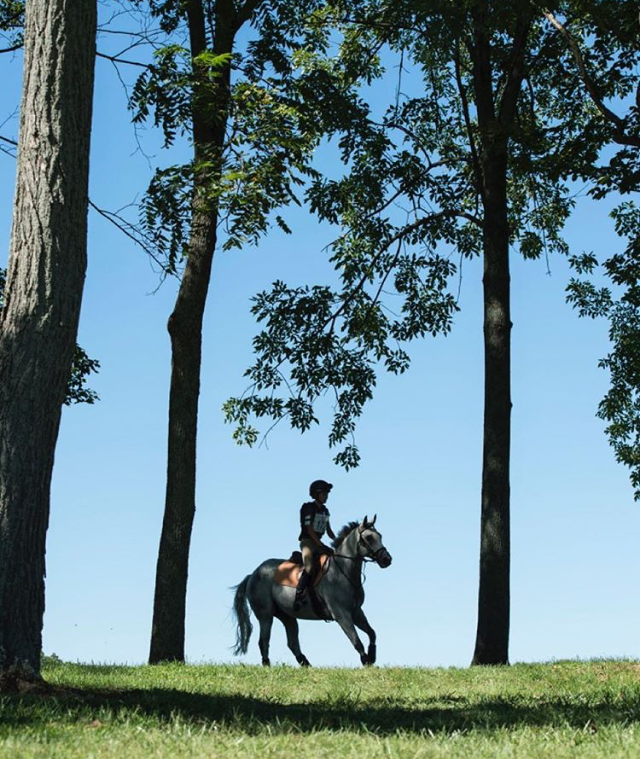 FACES OF FLYING CROSS | flyingcrossfarm-1