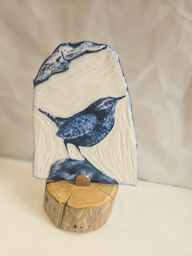 Jenny Wren 1 | Sarah Livingstone Ce