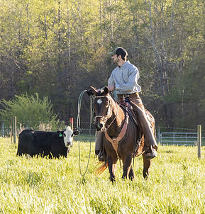 Green Gate Farm | Griffin