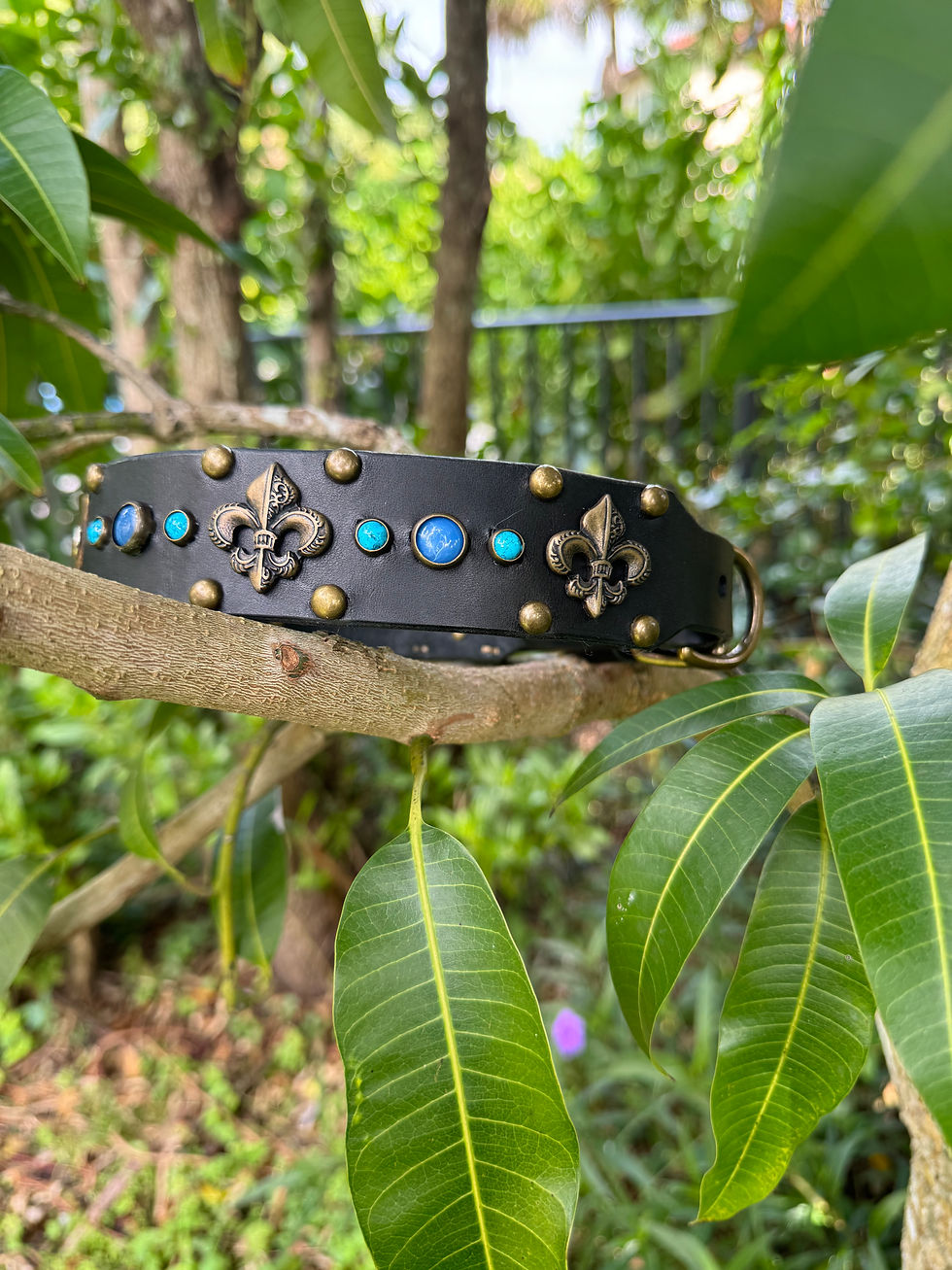 Lei Custom Collars design unique, quality, handmade custom collars ...