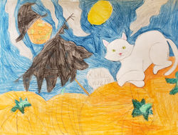 San Francisco Bay Area | Alliana Lili Yang