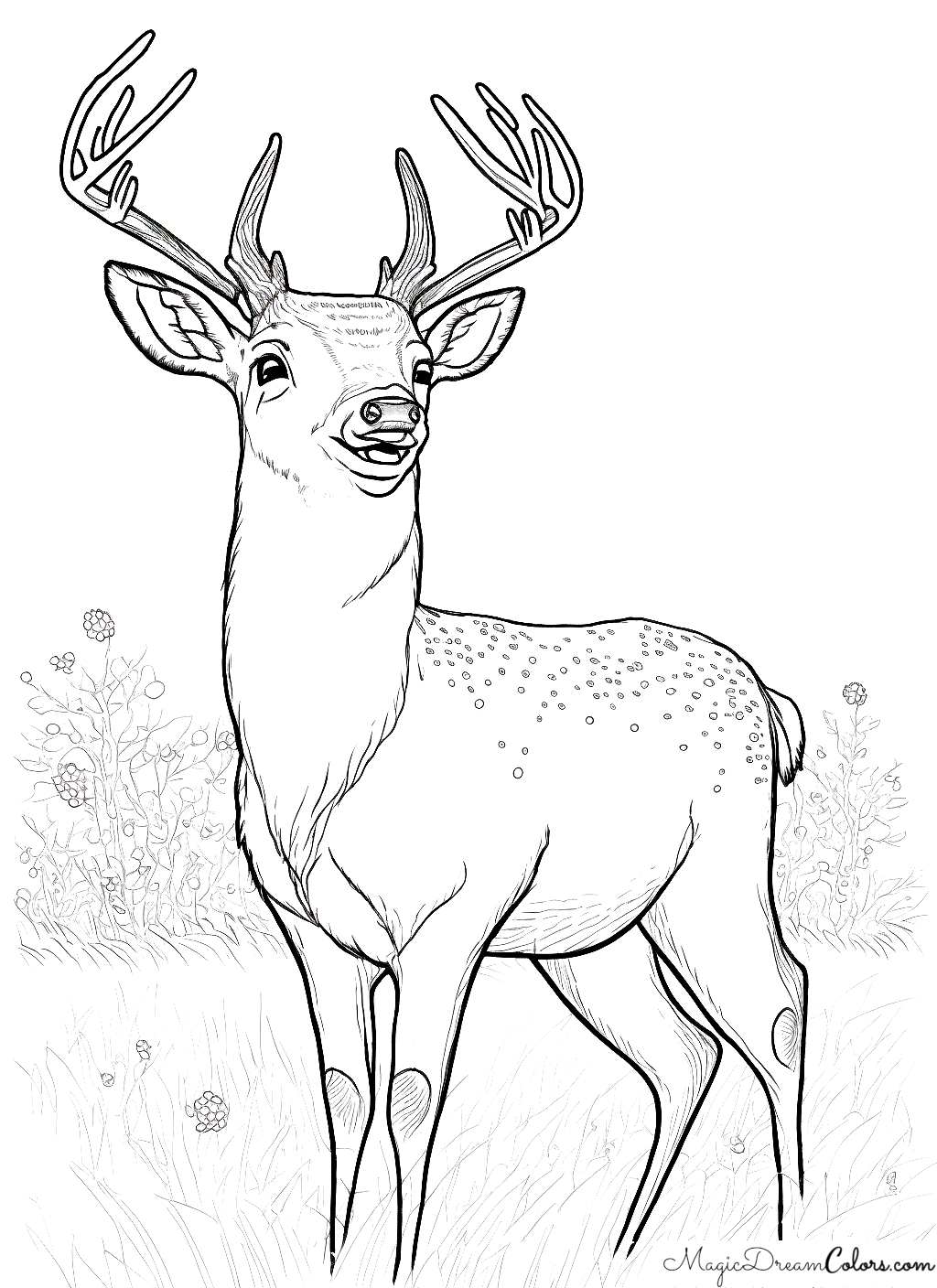 Ausdrucken Reh Ausmalbild Kostenlose Reh Ausmalbilder: Die 10 Besten ...