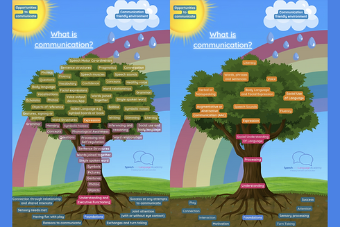 Advice | Speech and Language Academy
